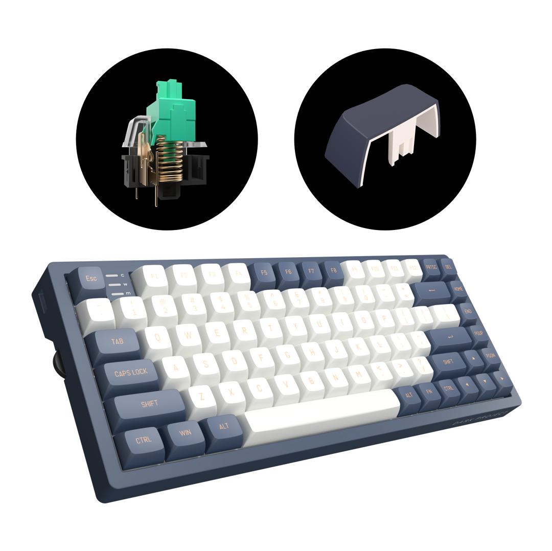 Keyboards :: KD83A Ivory / Navy Blue (ENG)