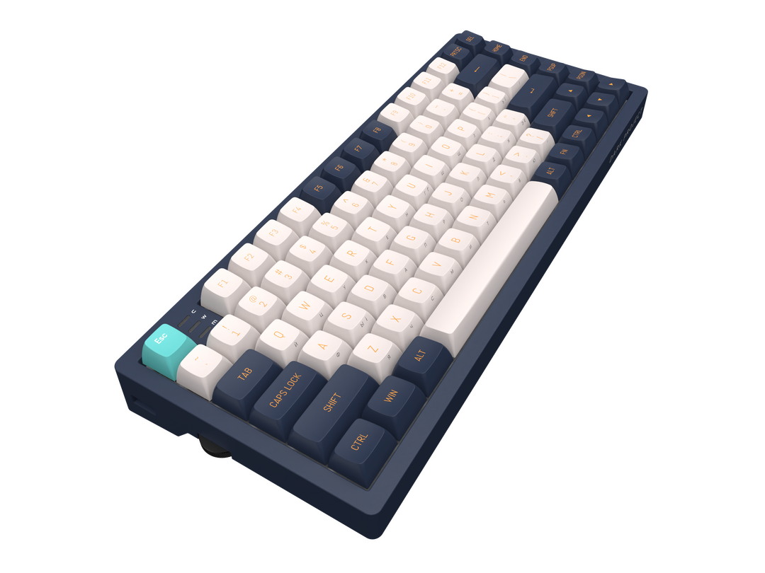 Keyboards :: KD83A Ivory / Navy Blue (UA)
